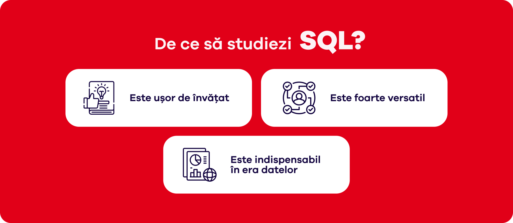 Database Administration & SQL Basics - Tekwill Academy